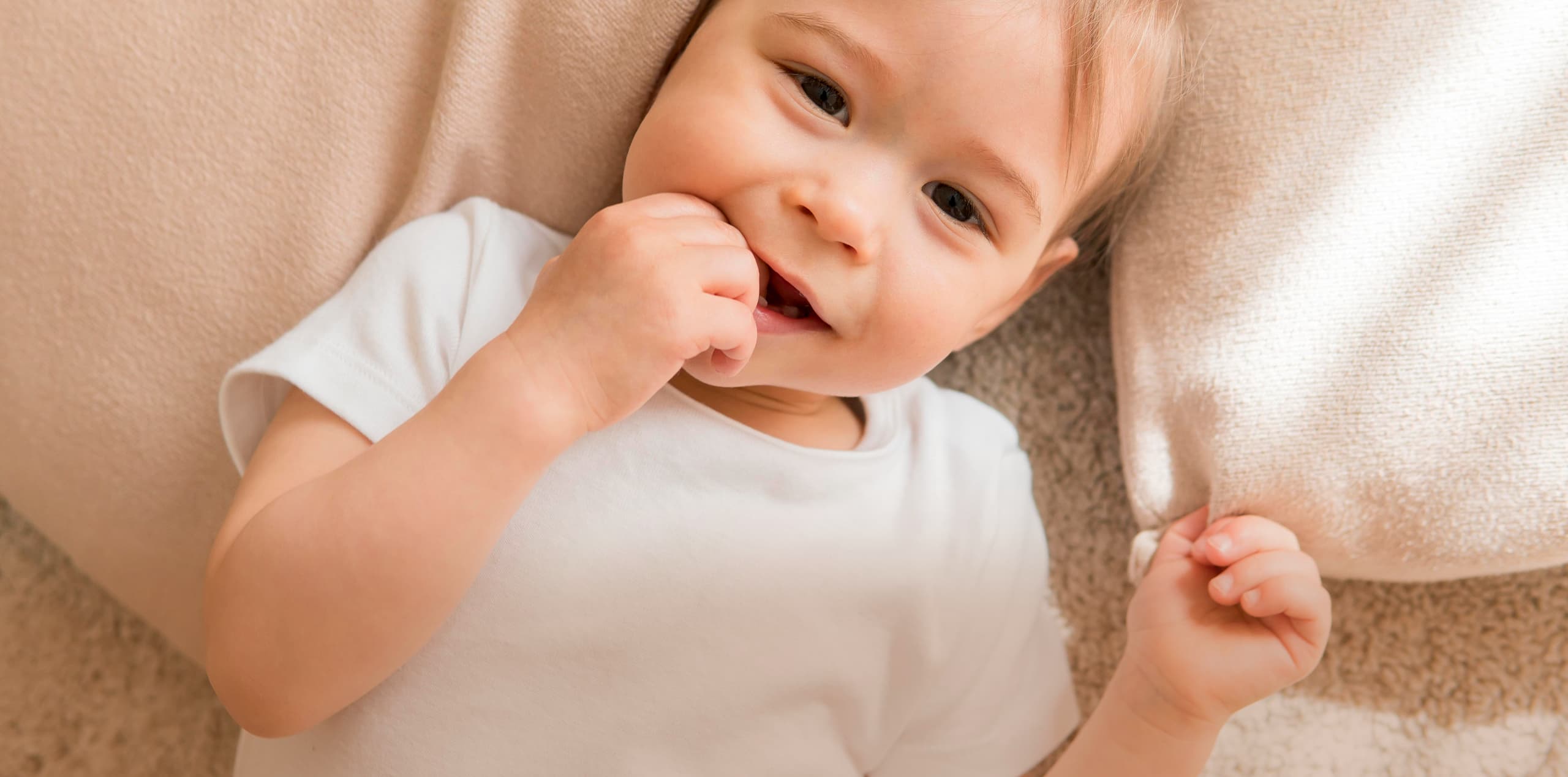 BEBICA Shop | Zdrava i prirodna kozmetika za kožu